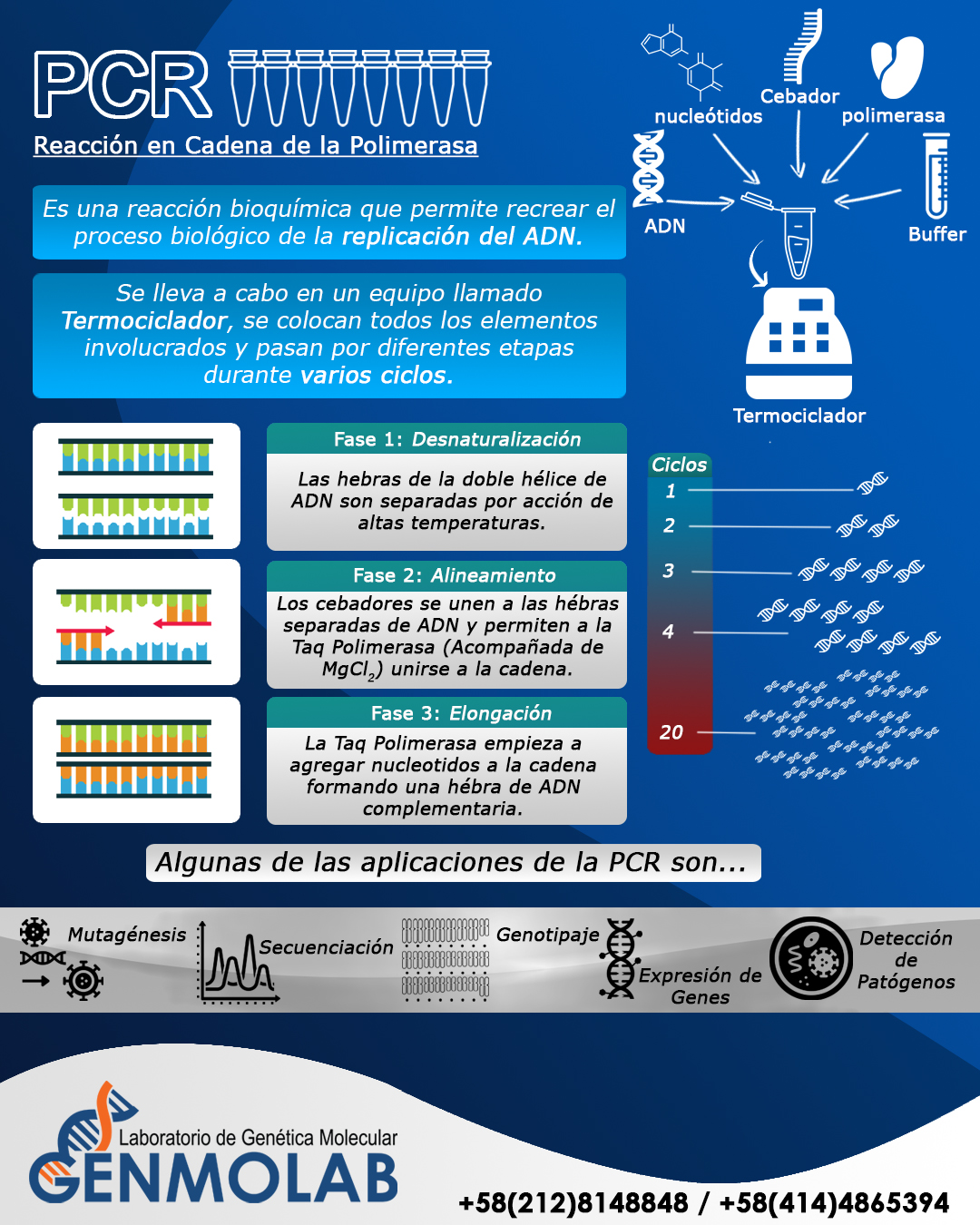 POSTERS - Genmolab